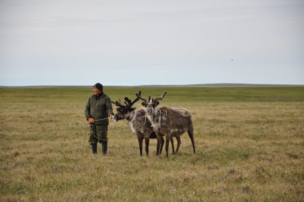 Taimyr expedition first data received