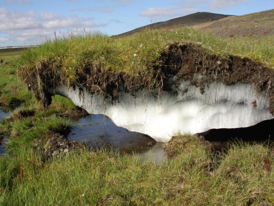 Scientists revived prehistoric worms from permafrost