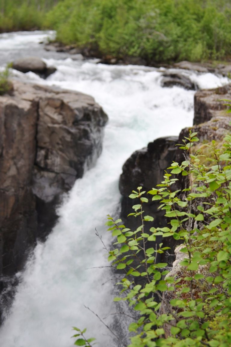 One-day excursion to Lama lake developed in Norilsk
